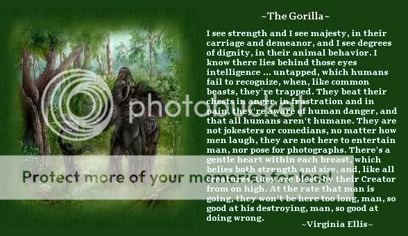 The Gorilla ~ Poem Photo by hhhhhh_014 | Photobucket
